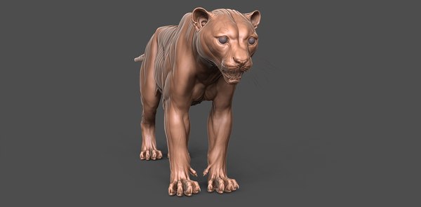 Fully Detailed Snow Leopard Zbrush Sculpt 3D model - TurboSquid 1850482