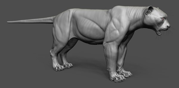 Fully Detailed Snow Leopard Zbrush Sculpt 3D model - TurboSquid 1850482