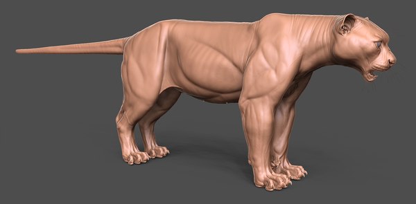 Fully Detailed Snow Leopard Zbrush Sculpt 3D model - TurboSquid 1850482