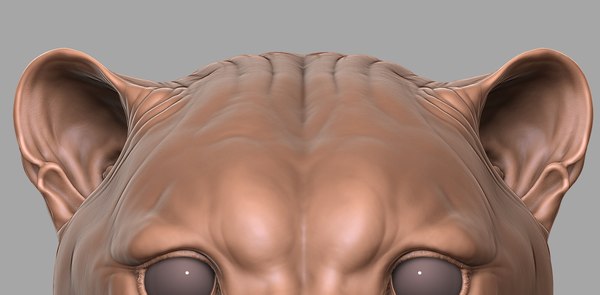 Fully Detailed Snow Leopard Zbrush Sculpt 3D model - TurboSquid 1850482