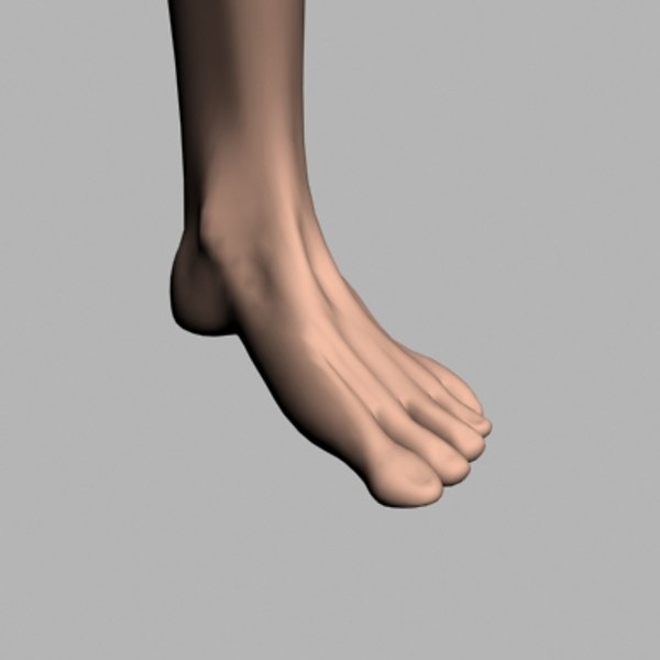 Rigged Legs 3D Models for Download | TurboSquid
