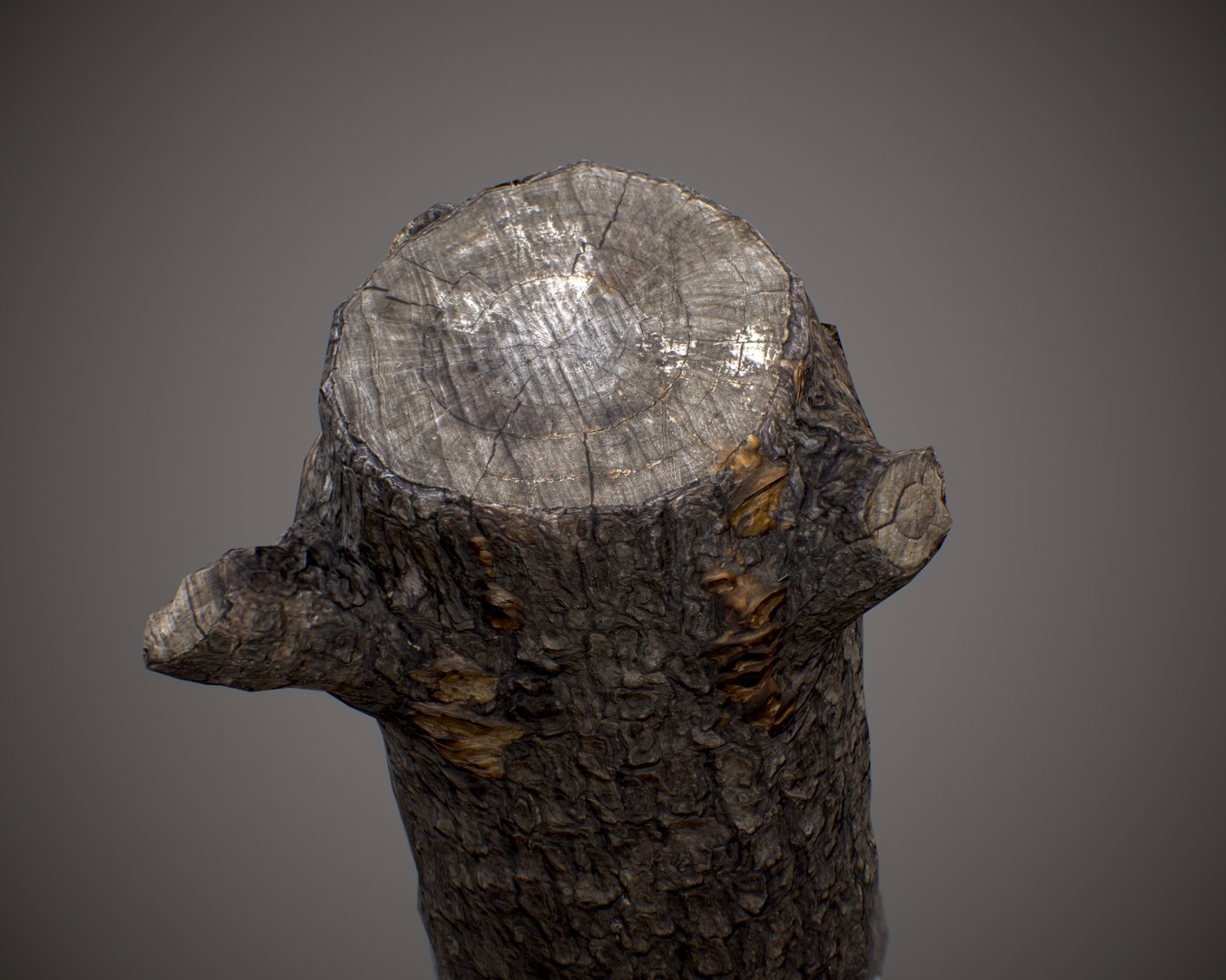 Stump model - TurboSquid 1219333