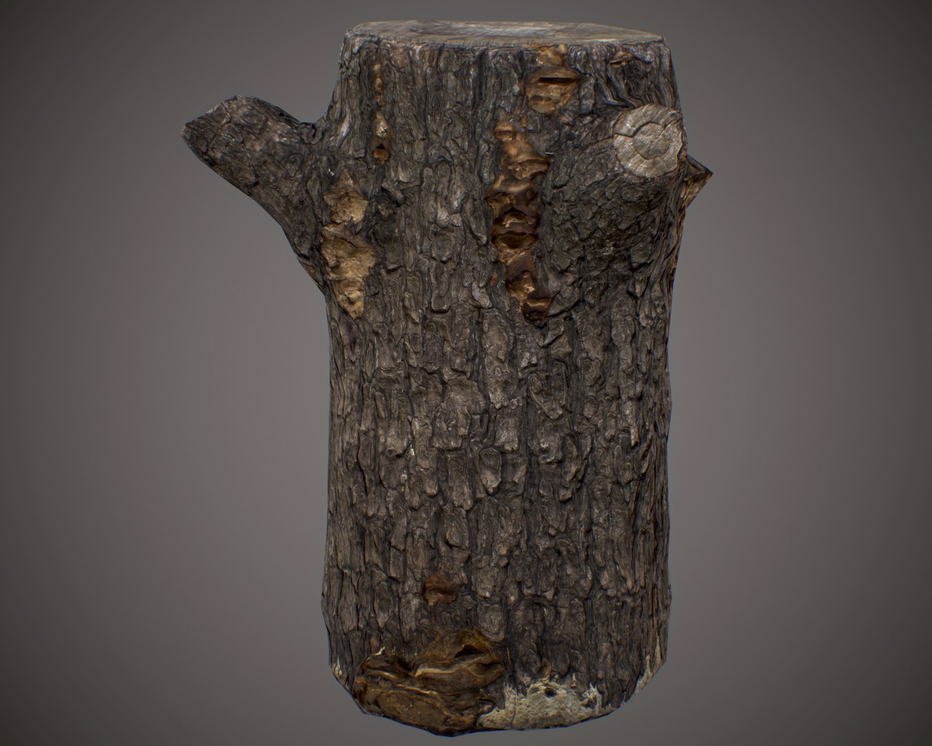 Stump model - TurboSquid 1219333