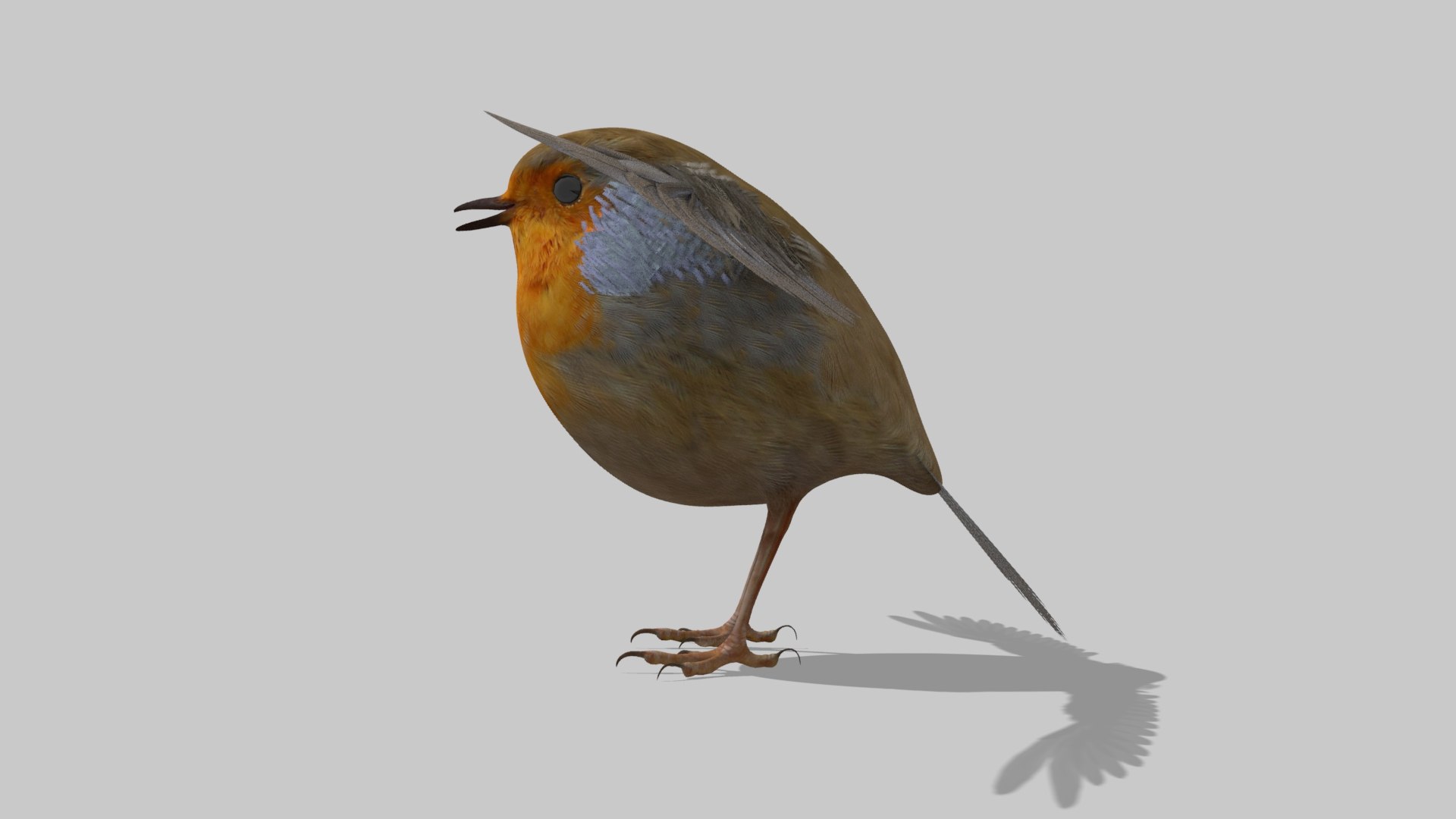 3D EUROPEAN ROBIN CGI BIRD REALISTIC - TurboSquid 1880693