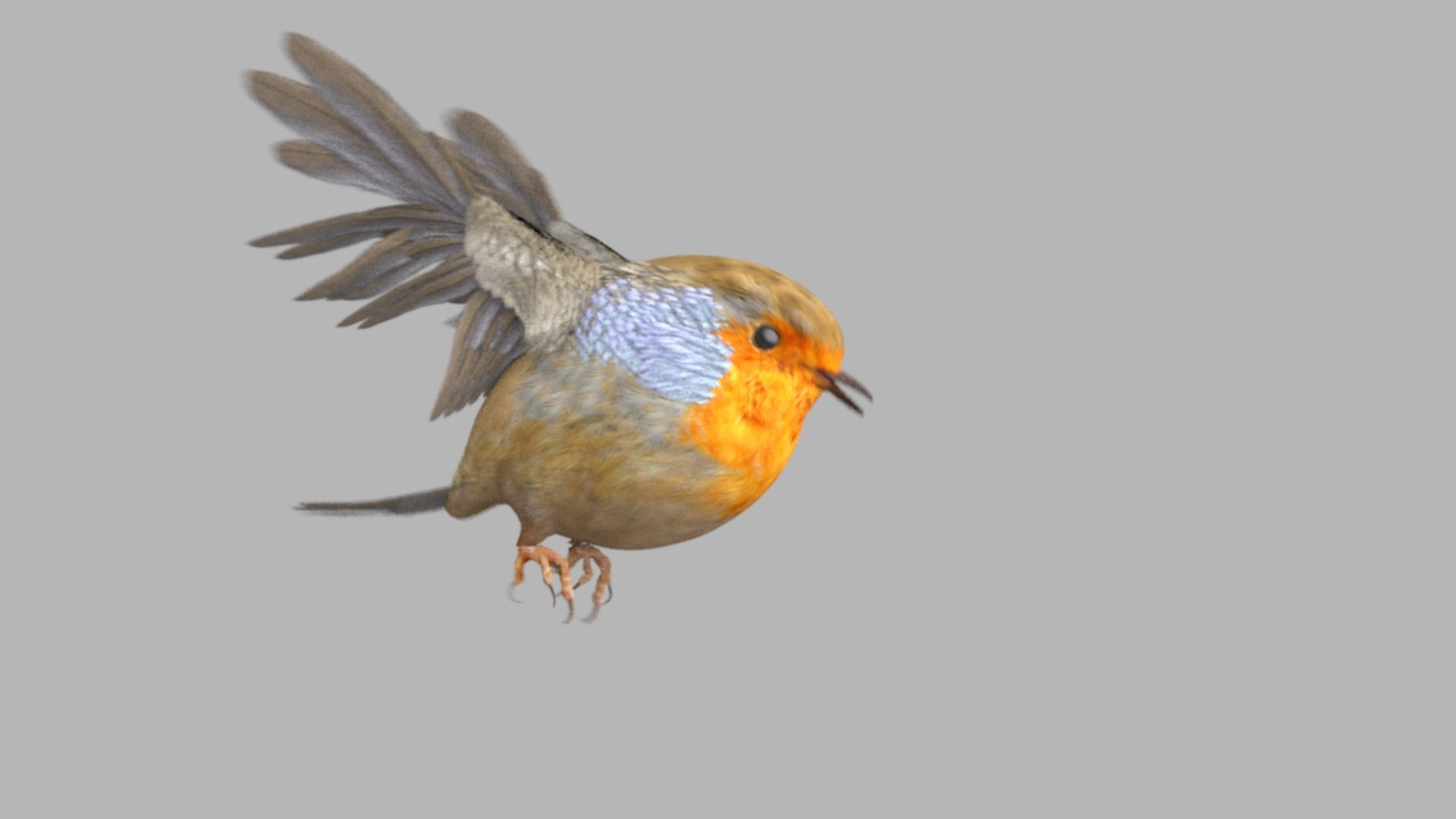 3D EUROPEAN ROBIN CGI BIRD REALISTIC - TurboSquid 1880693