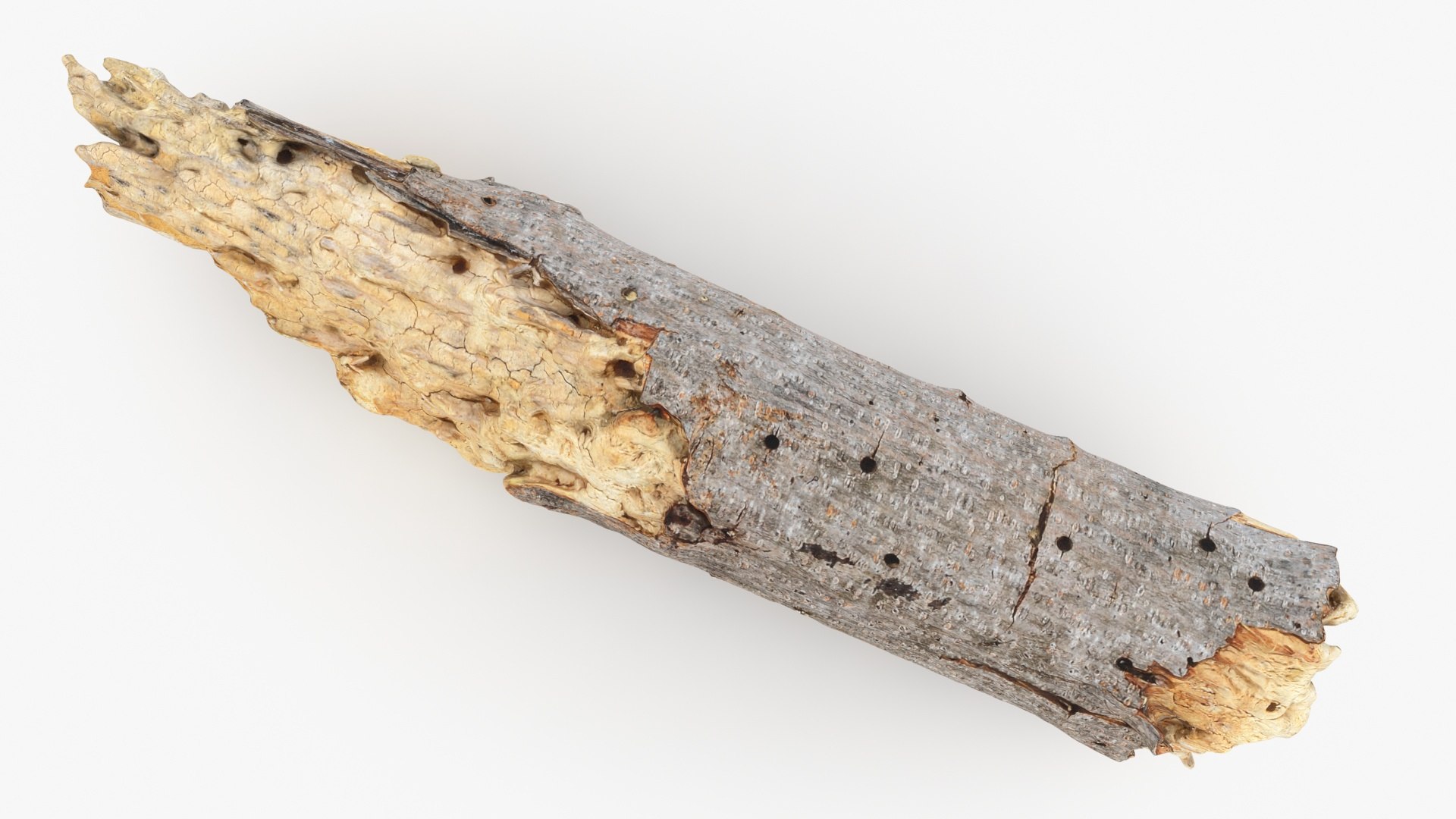 Broken Branch 3D model - TurboSquid 2168336