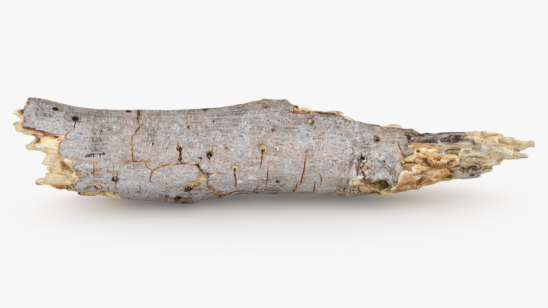 Broken Branch 3D model - TurboSquid 2168336