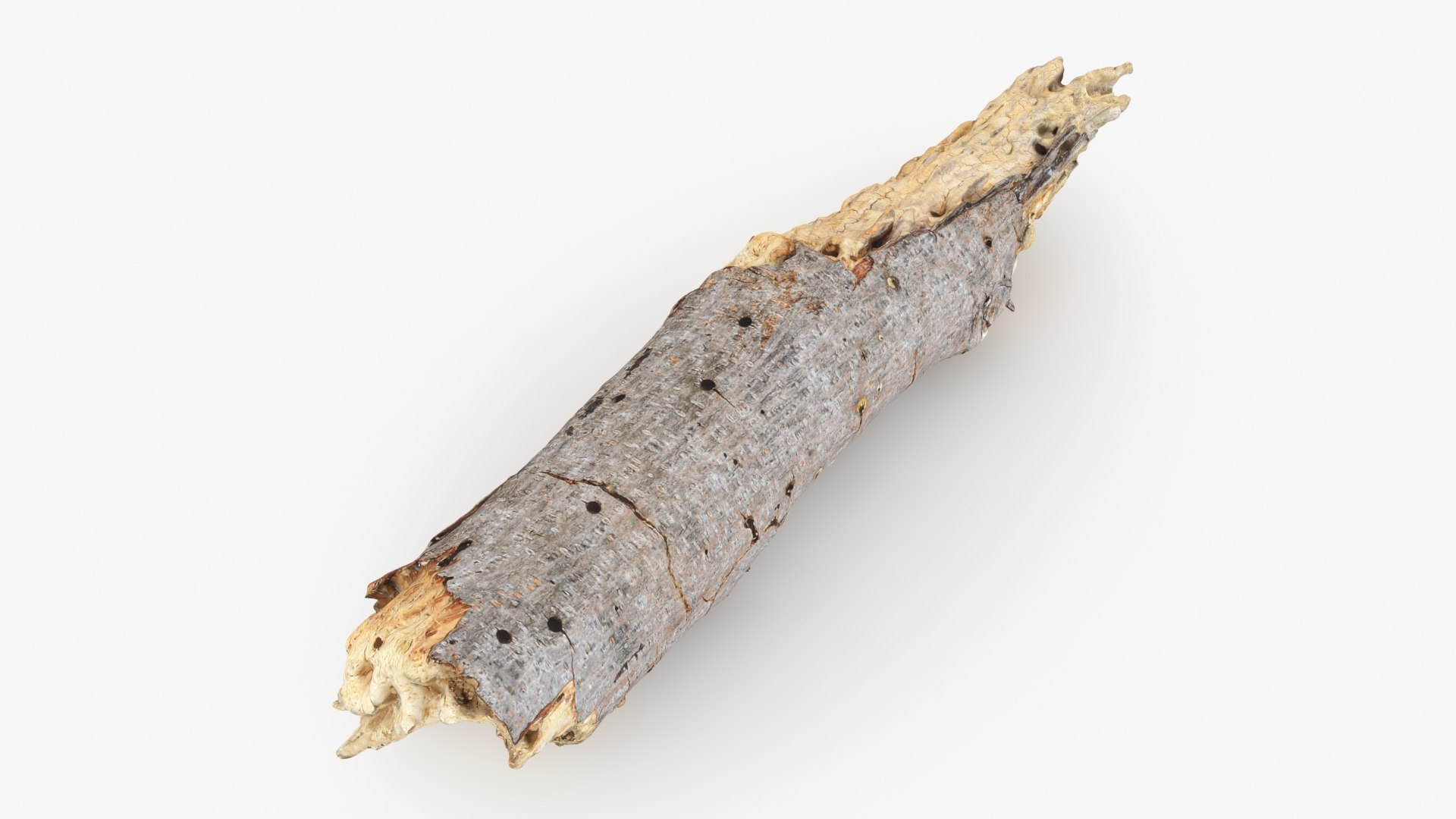 Broken Branch 3D model - TurboSquid 2168336