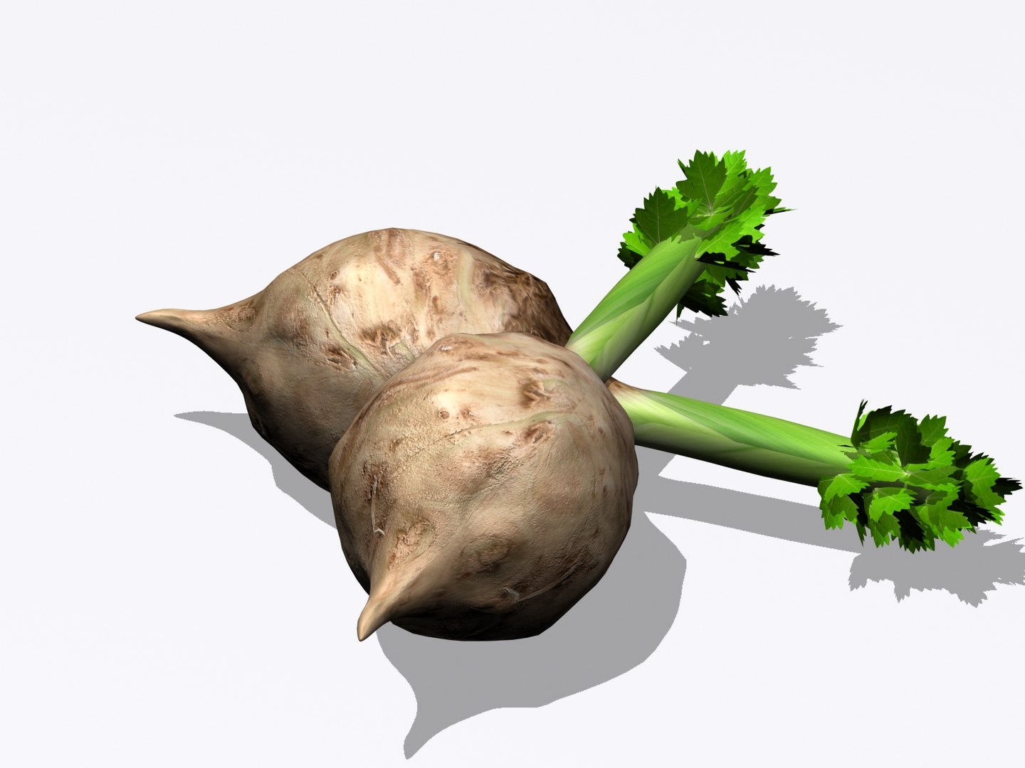 3d model of celery
