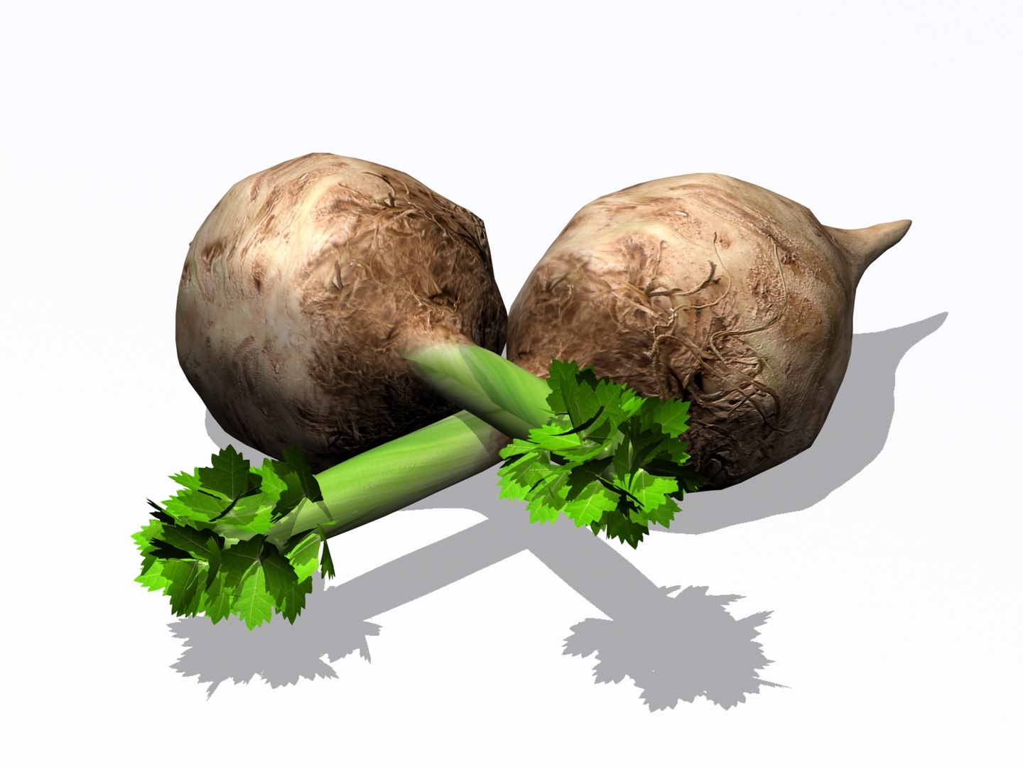 3d model of celery