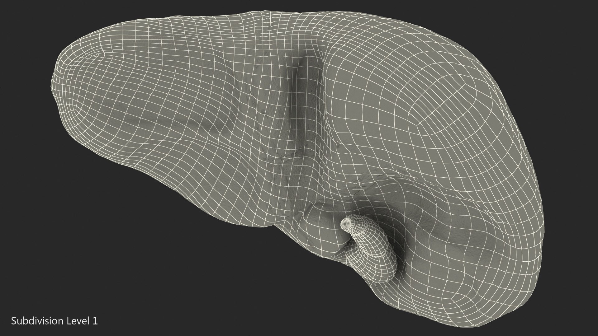 3D human liver gallbladder gall - TurboSquid 1461367