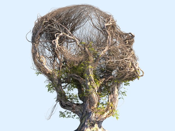 3D tree head hd - TurboSquid 1287336