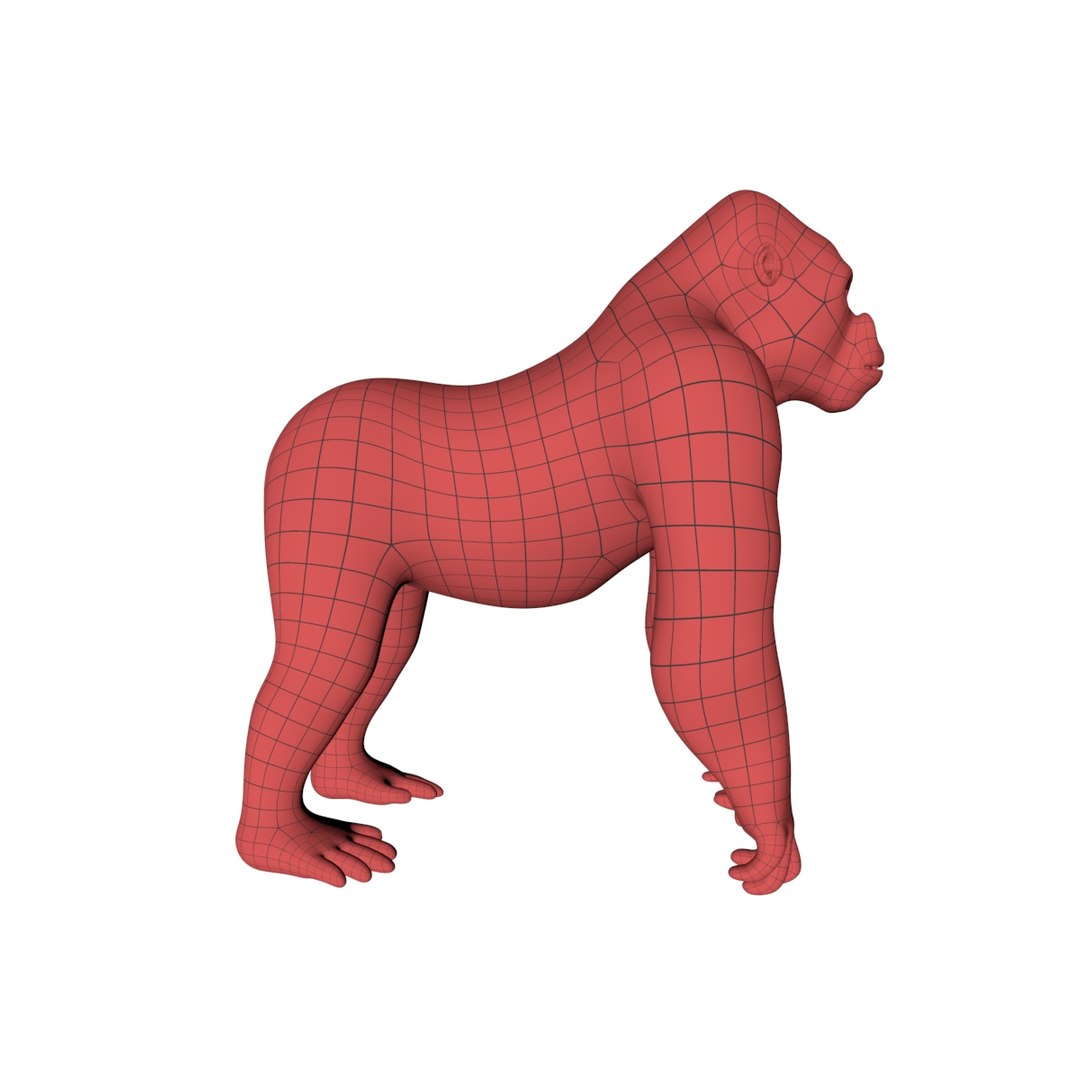Base Mesh Gorilla 3d Model