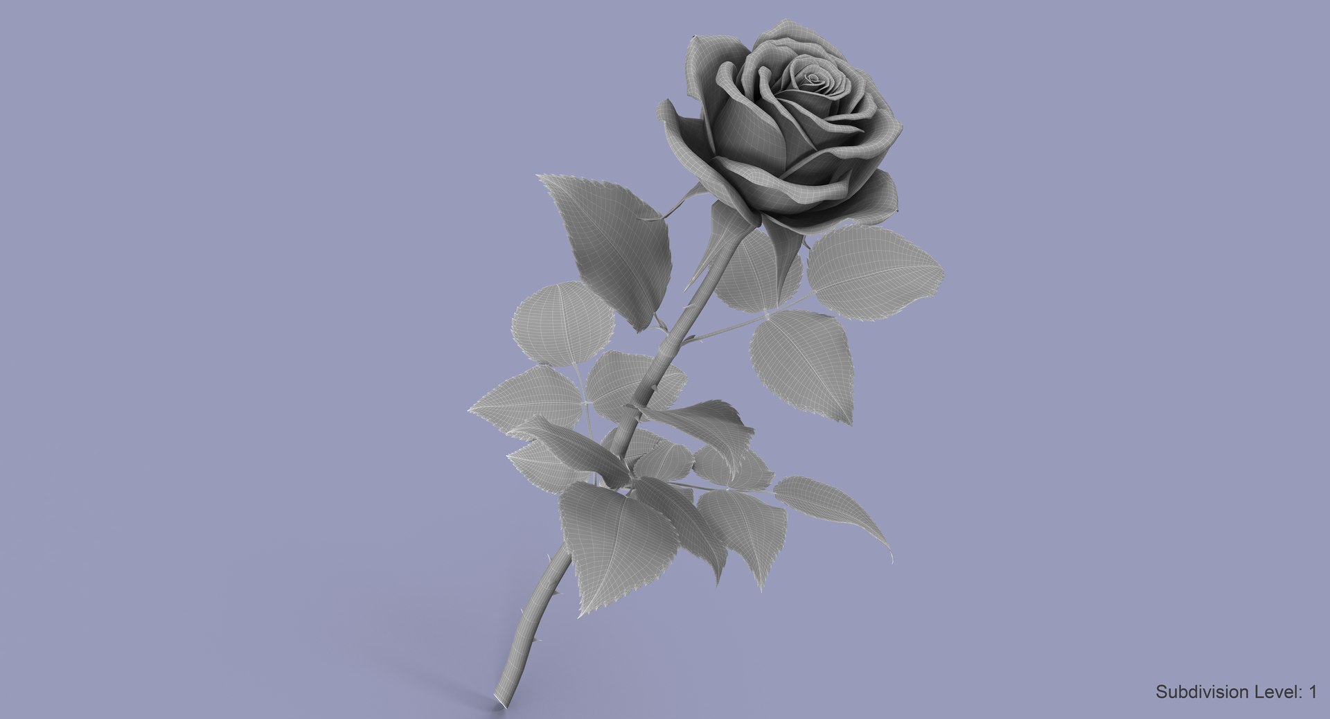 Rose 6 3d Model