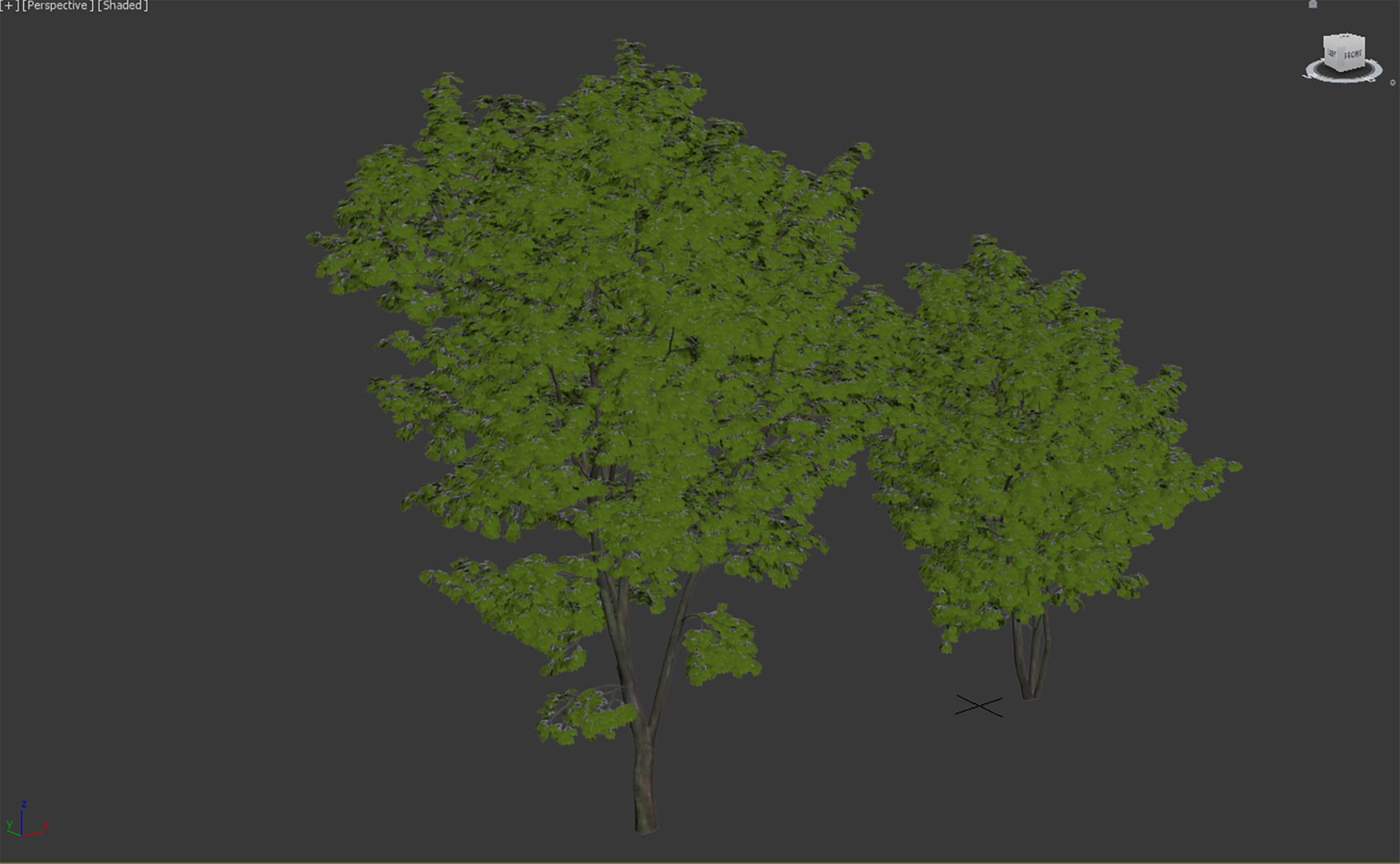 3D Tree Maple Model - TurboSquid 1691957