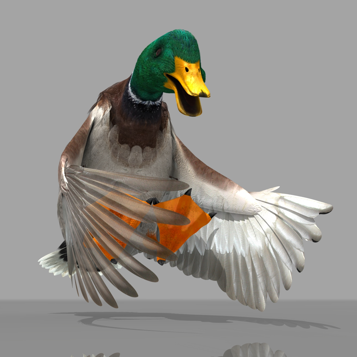 Mallard duck 3D - TurboSquid 1179386