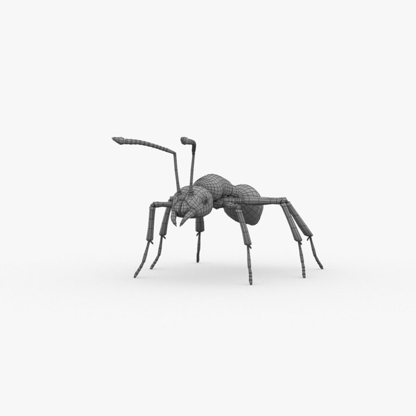3D ant basemesh - TurboSquid 2006856