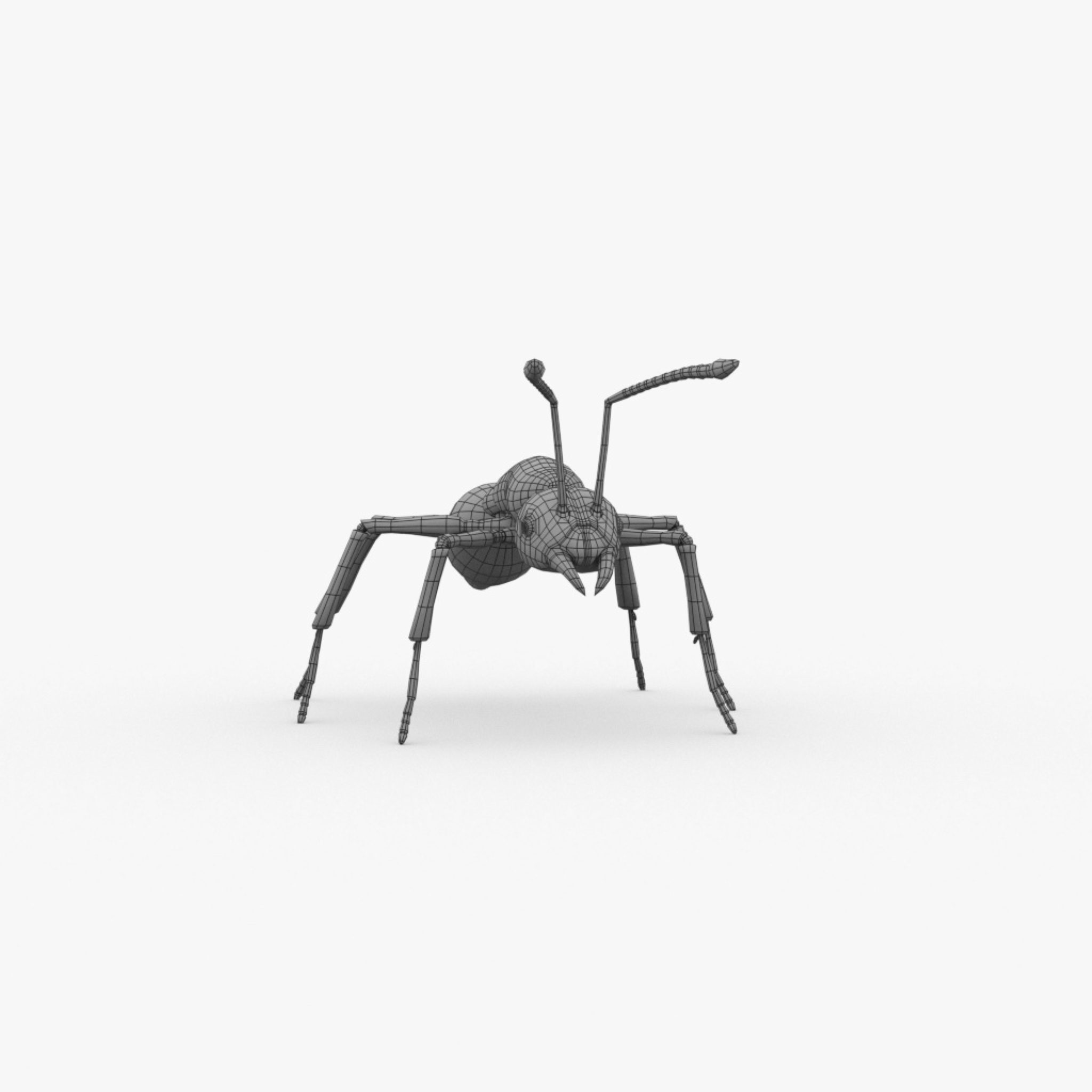 3D ant basemesh - TurboSquid 2006856