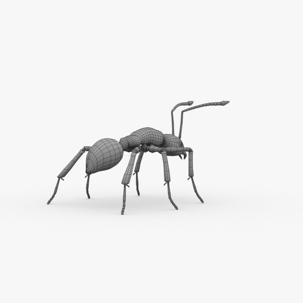 3D ant basemesh - TurboSquid 2006856