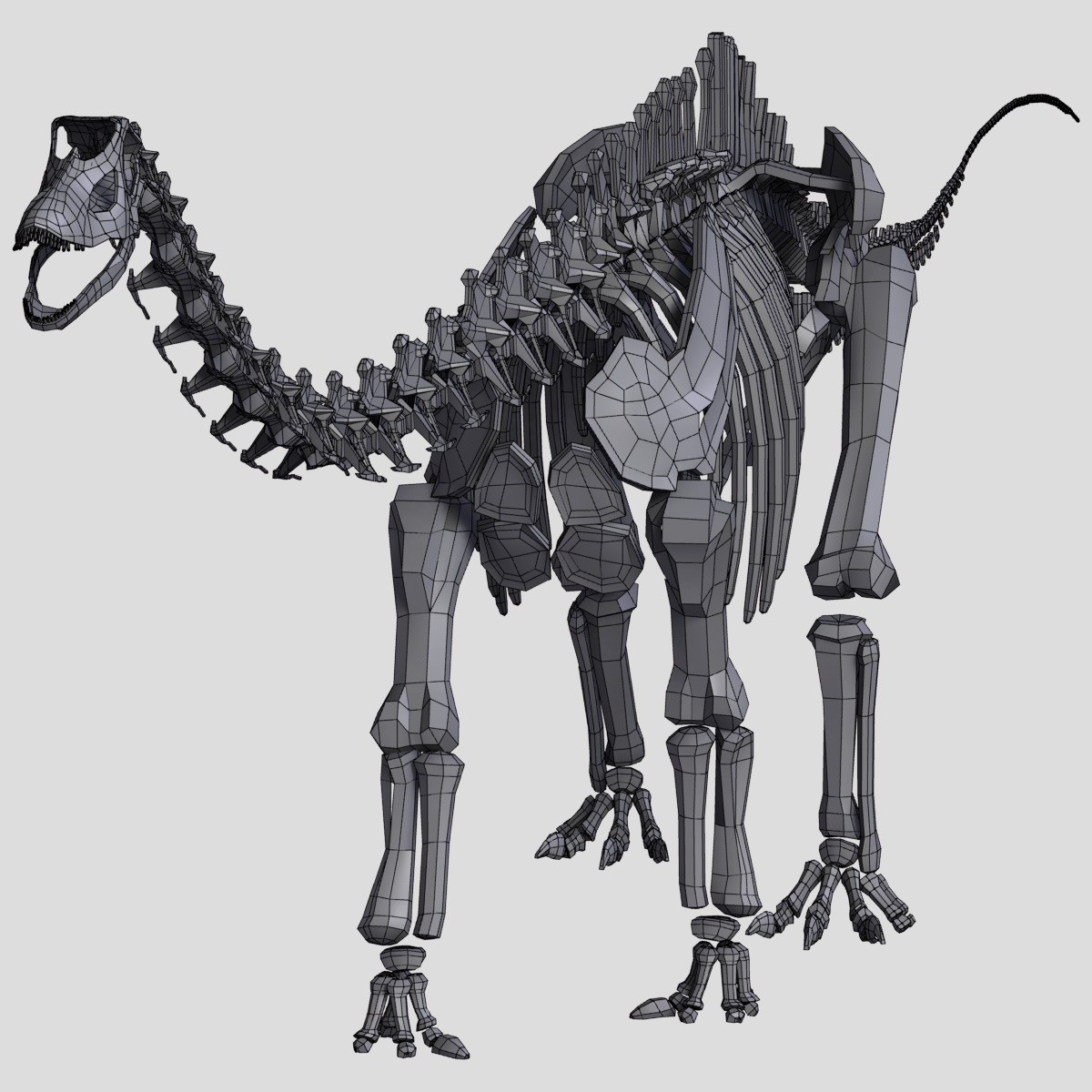 3d dino skeleton diplodocus bones
