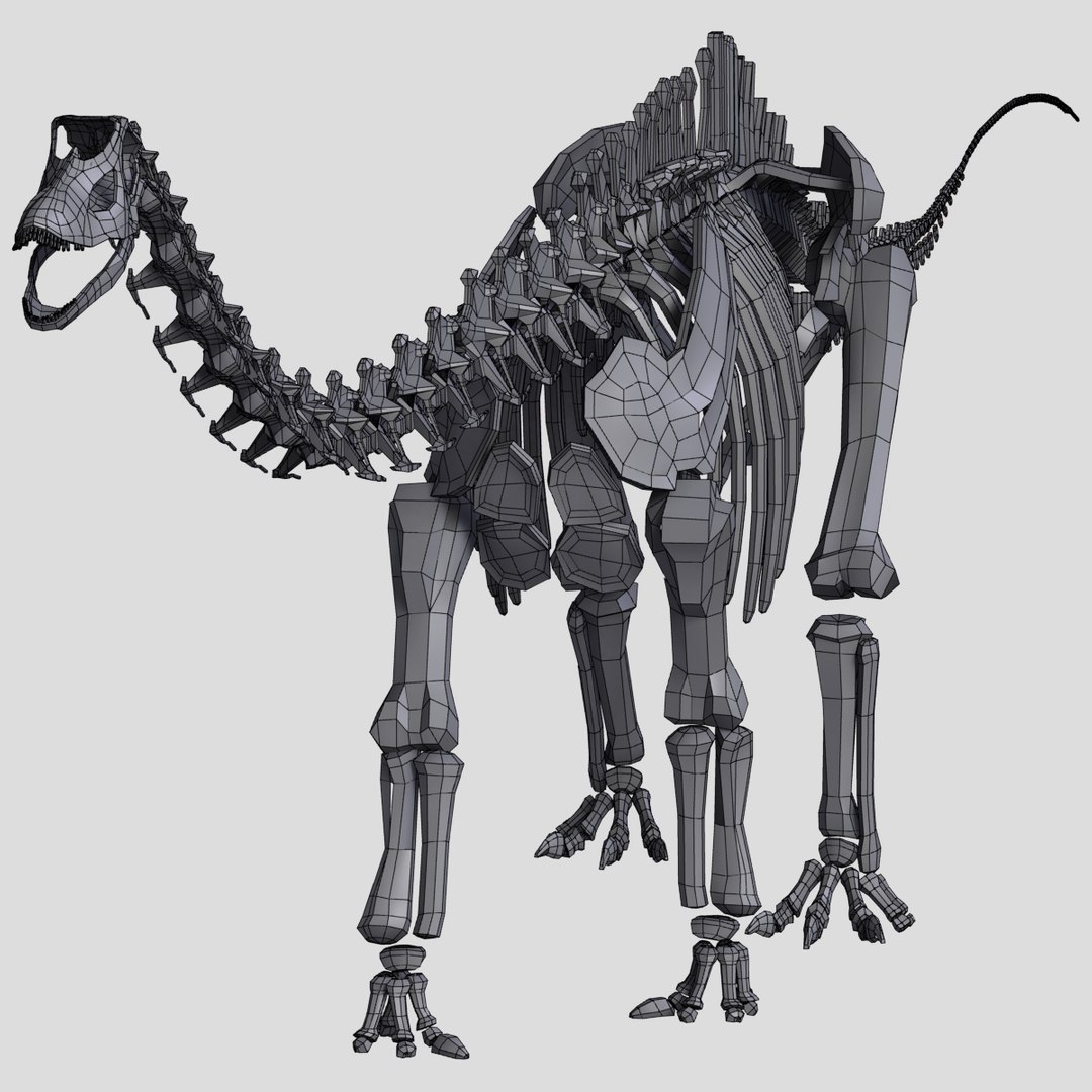 3d Dino Skeleton Diplodocus Bones