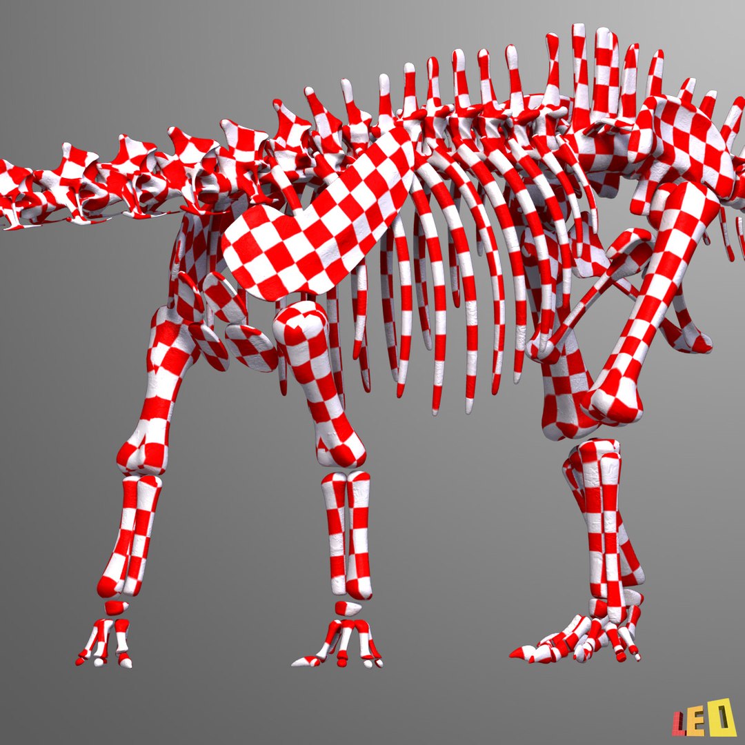 3d Dino Skeleton Diplodocus Bones