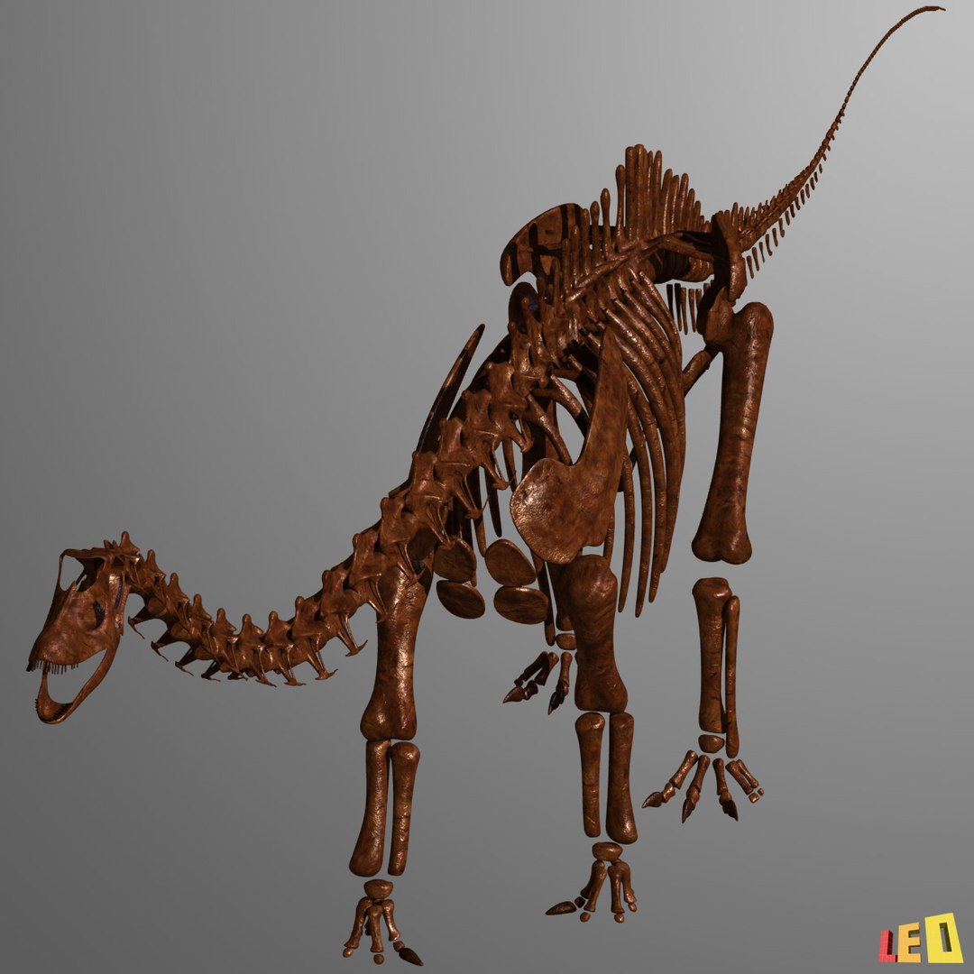 3d Dino Skeleton Diplodocus Bones