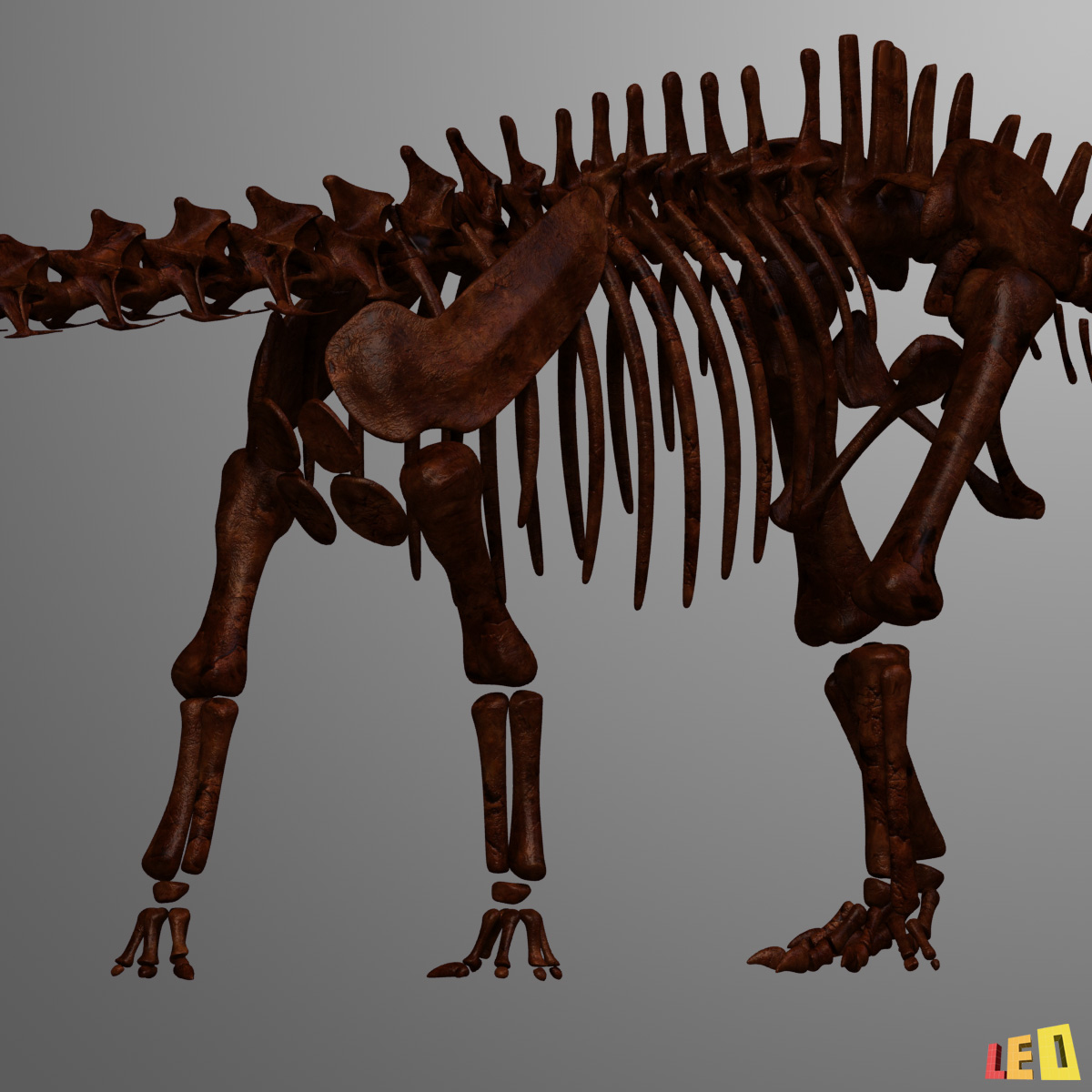 3d dino skeleton diplodocus bones