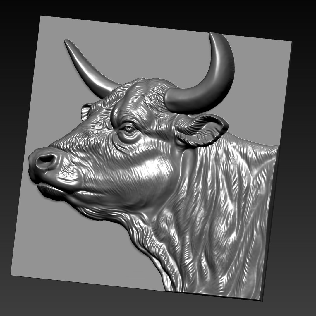 3D Bull Head - TurboSquid 2440526