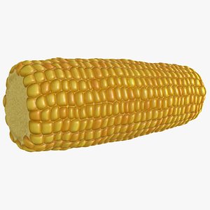 3D Maize Plant - TurboSquid 1547640