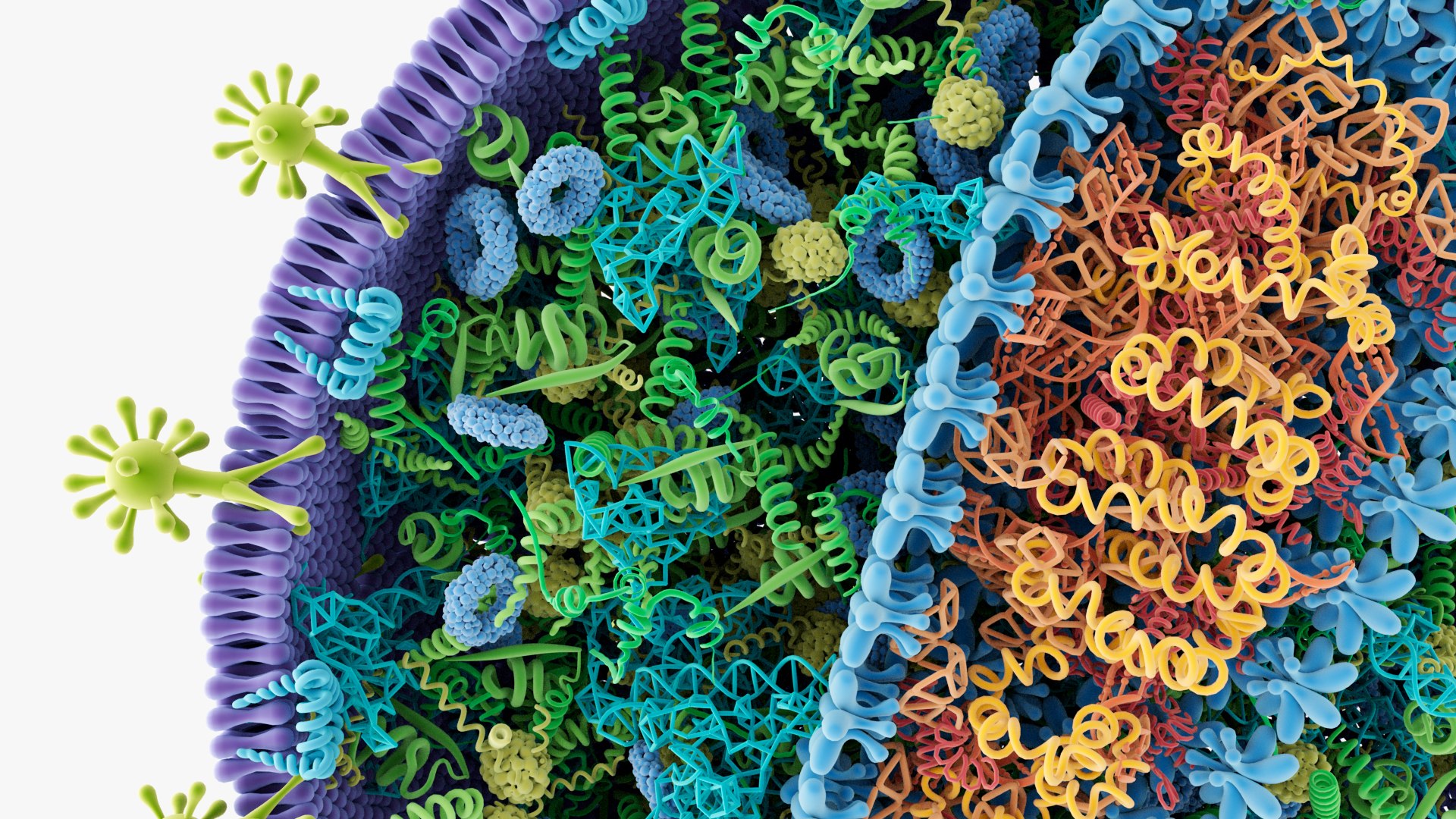 3D HIV Cell Structure - TurboSquid 2243584