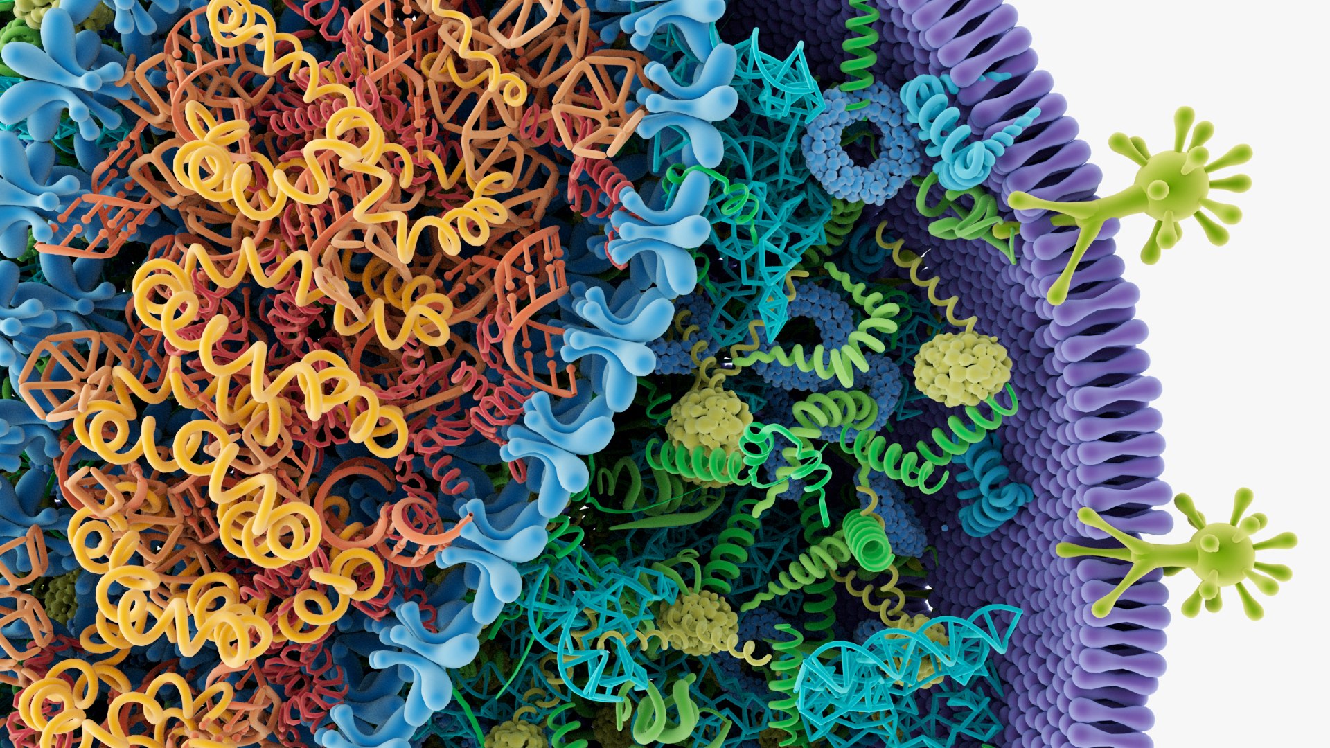 3D HIV Cell Structure - TurboSquid 2243584