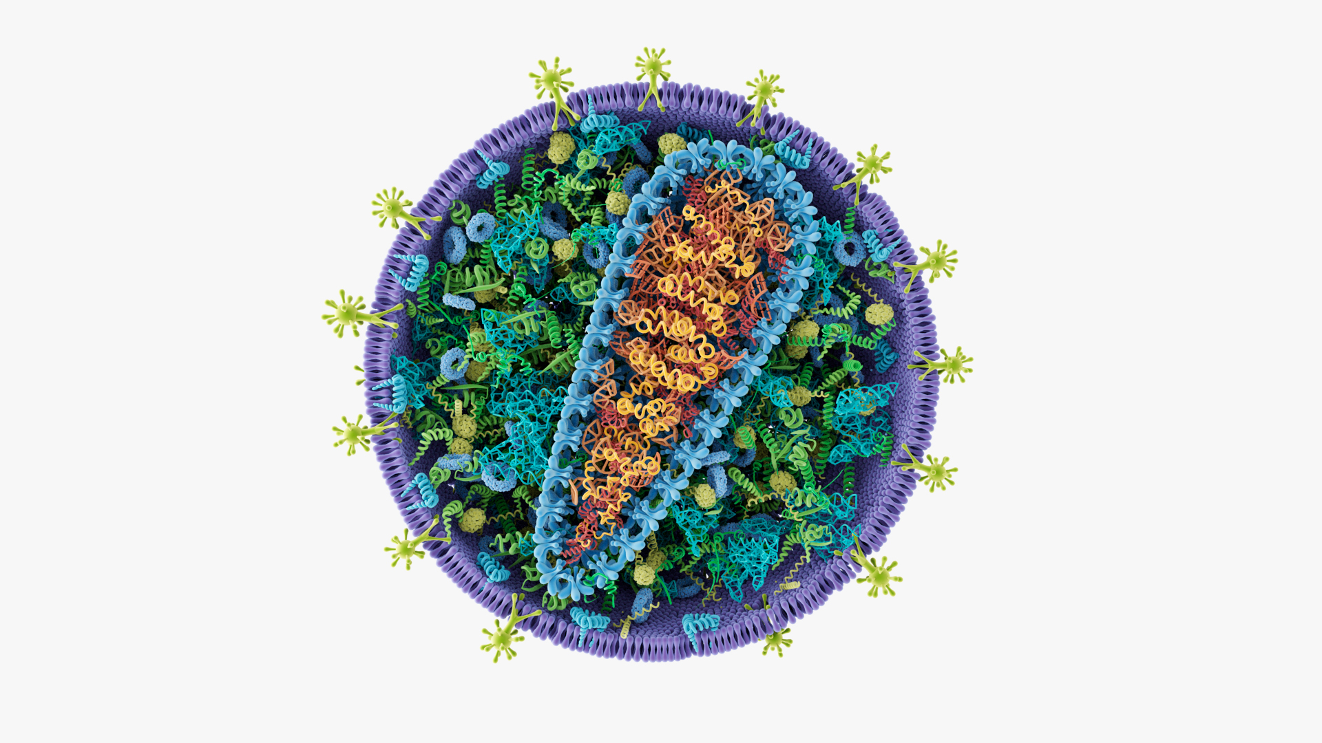 3D HIV Cell Structure - TurboSquid 2243584