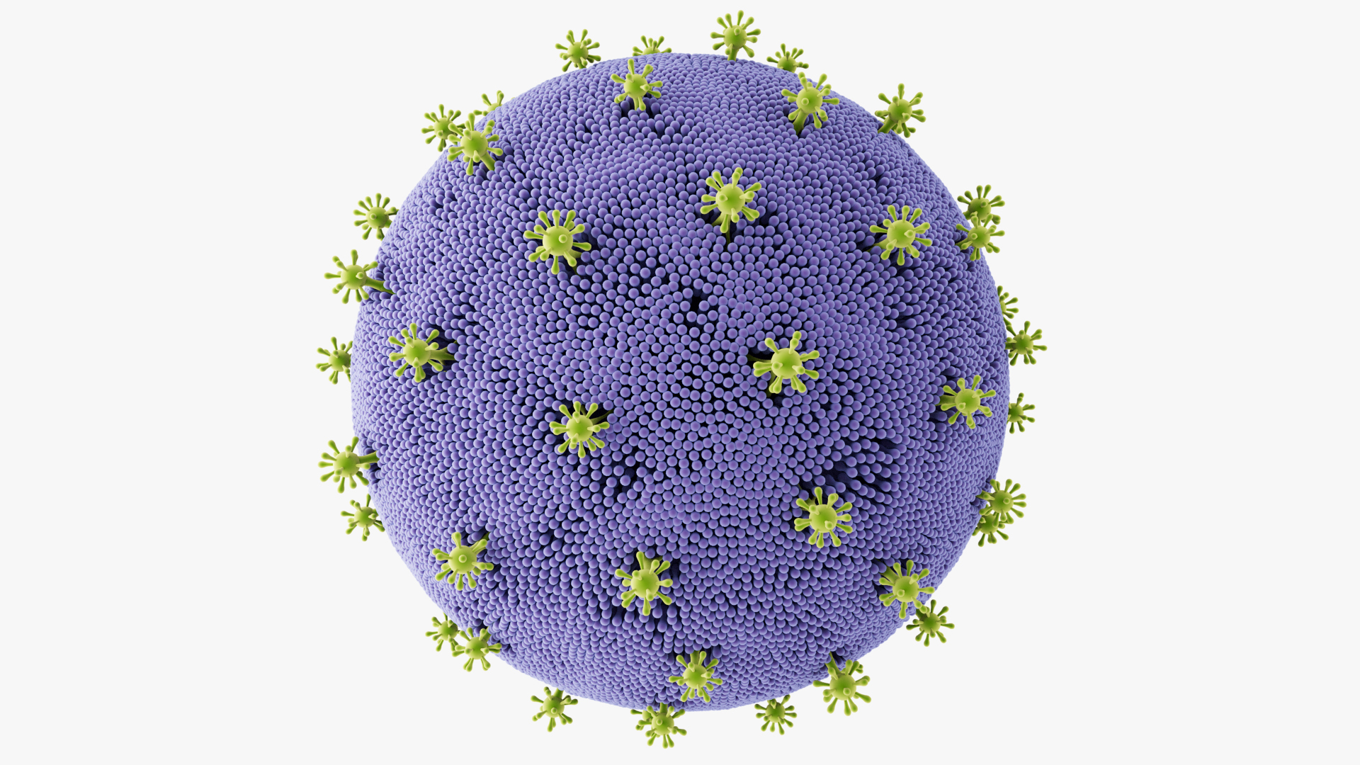 3D HIV Cell Structure - TurboSquid 2243584
