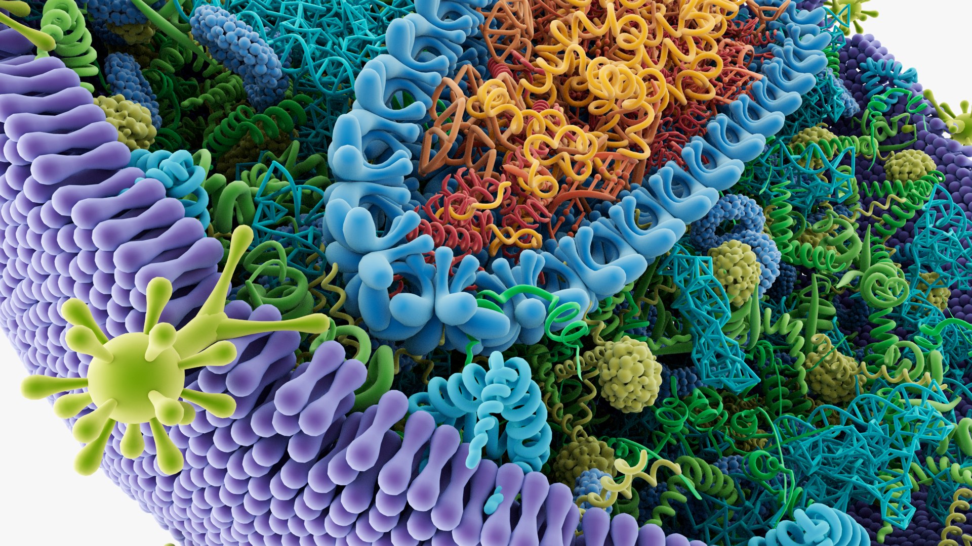 3D HIV Cell Structure - TurboSquid 2243584