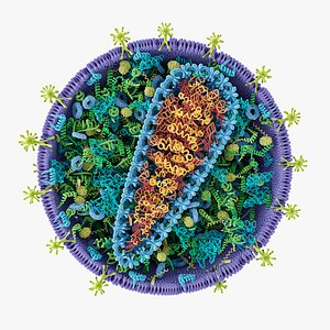 Microscopic Anatomy 3D Models for Download | TurboSquid