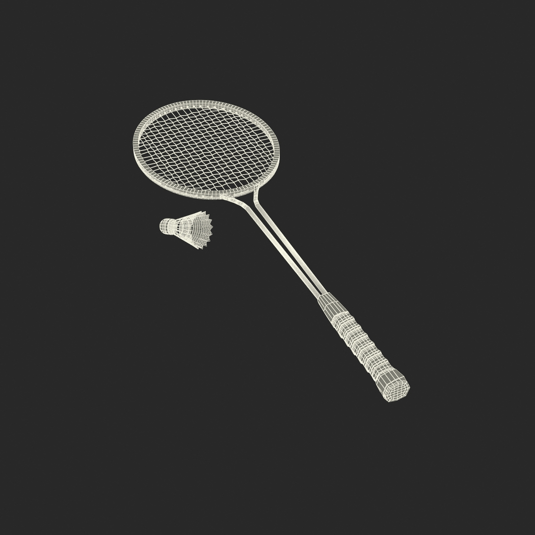 3d Badminton Racket 2 Shuttlecock