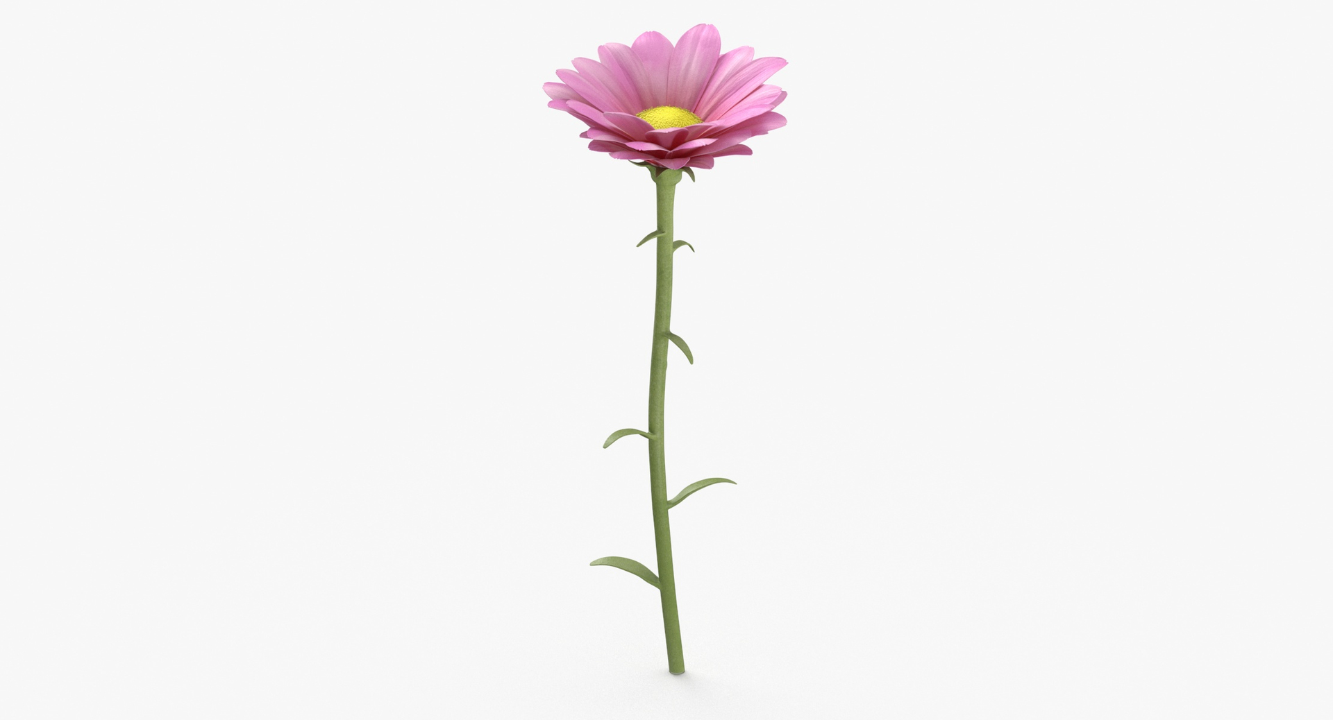 3D Prop 27 Small Flowers Type 02 - TurboSquid 2148080