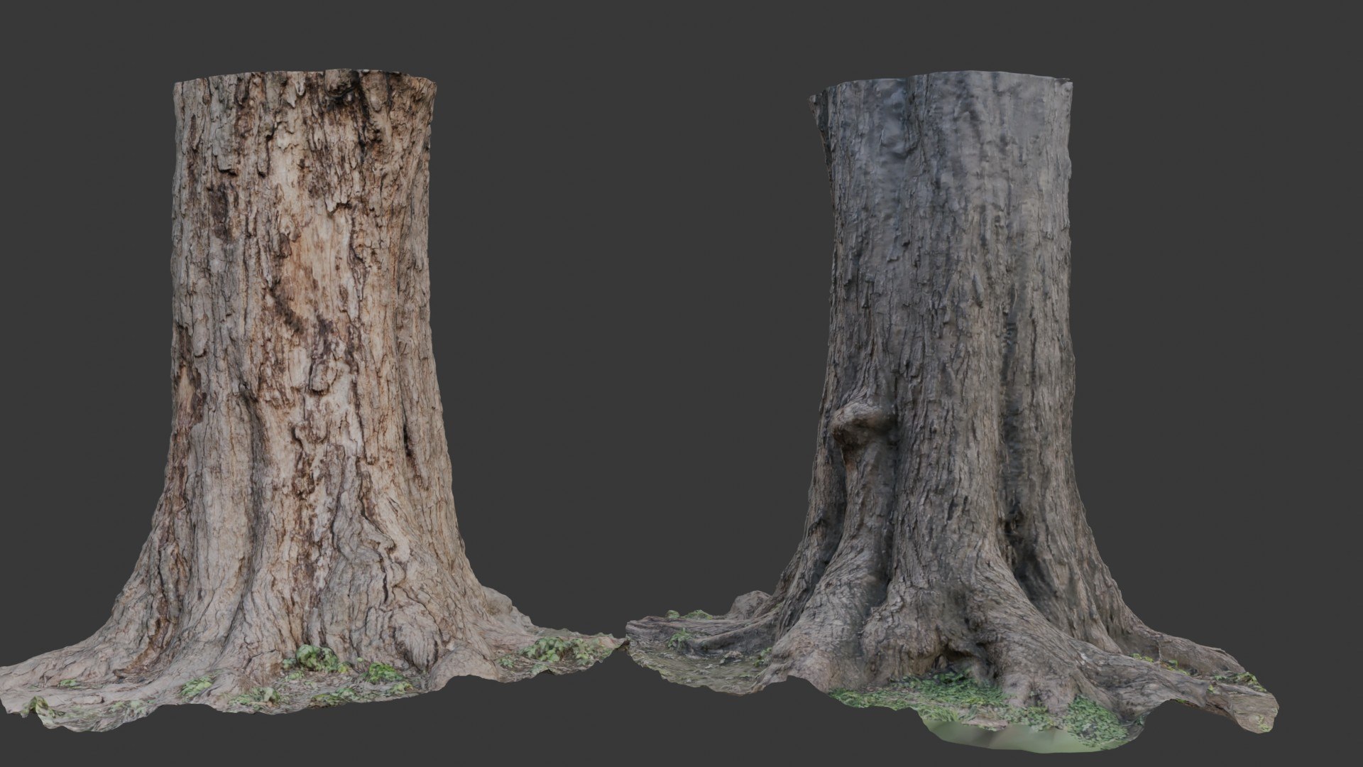 3D Tree Stump 3D Scan - TurboSquid 2395501