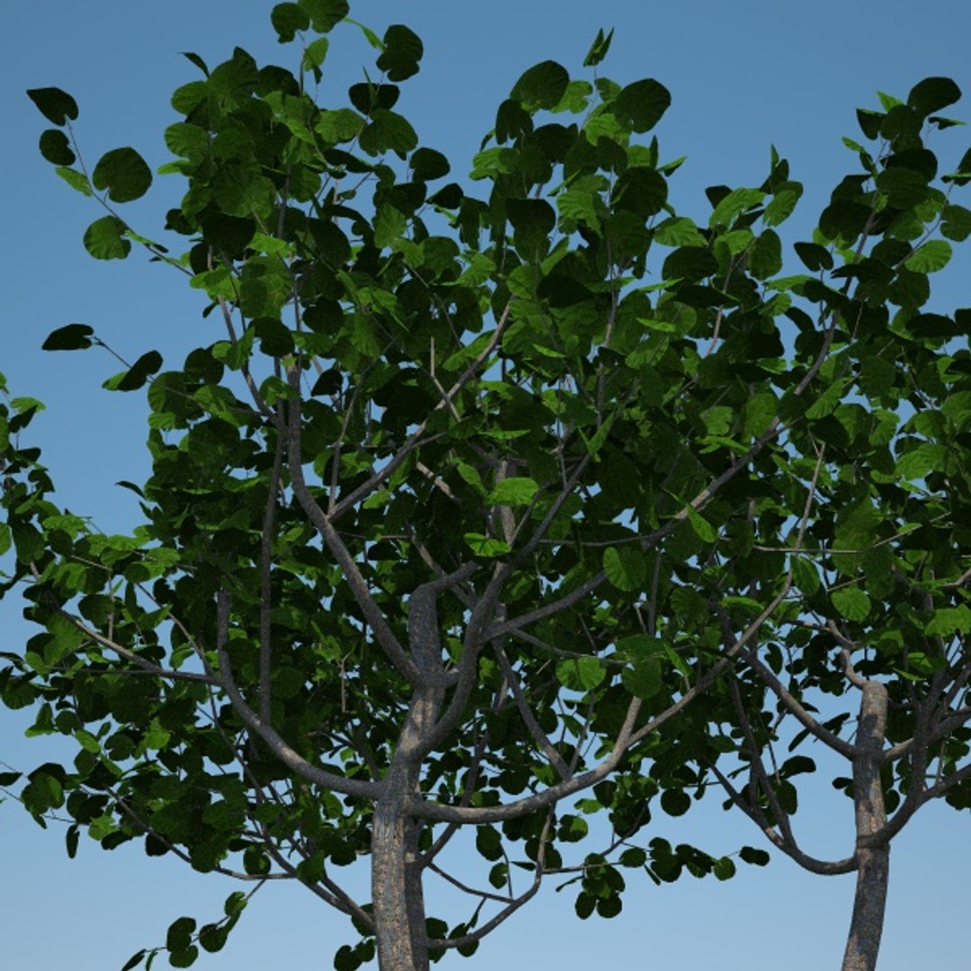 flowers tree fbx
