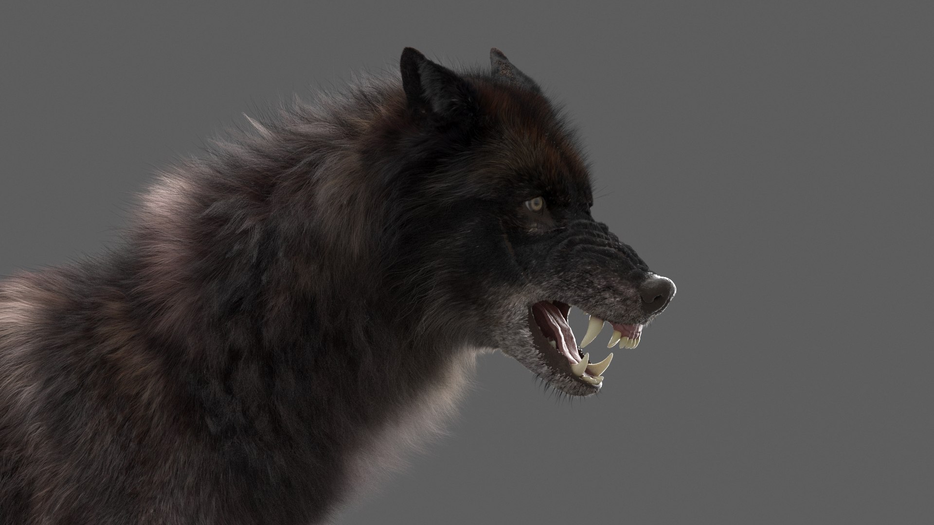 Realistic Rigged Black Wolf 3D Model - TurboSquid 1480489