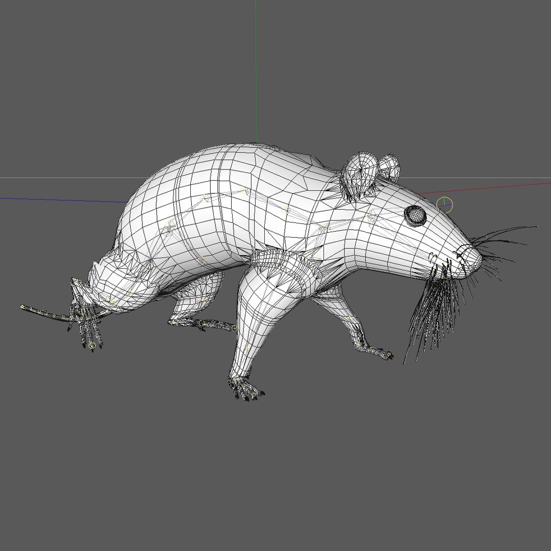 3d Model Running Brown Mouse Animations