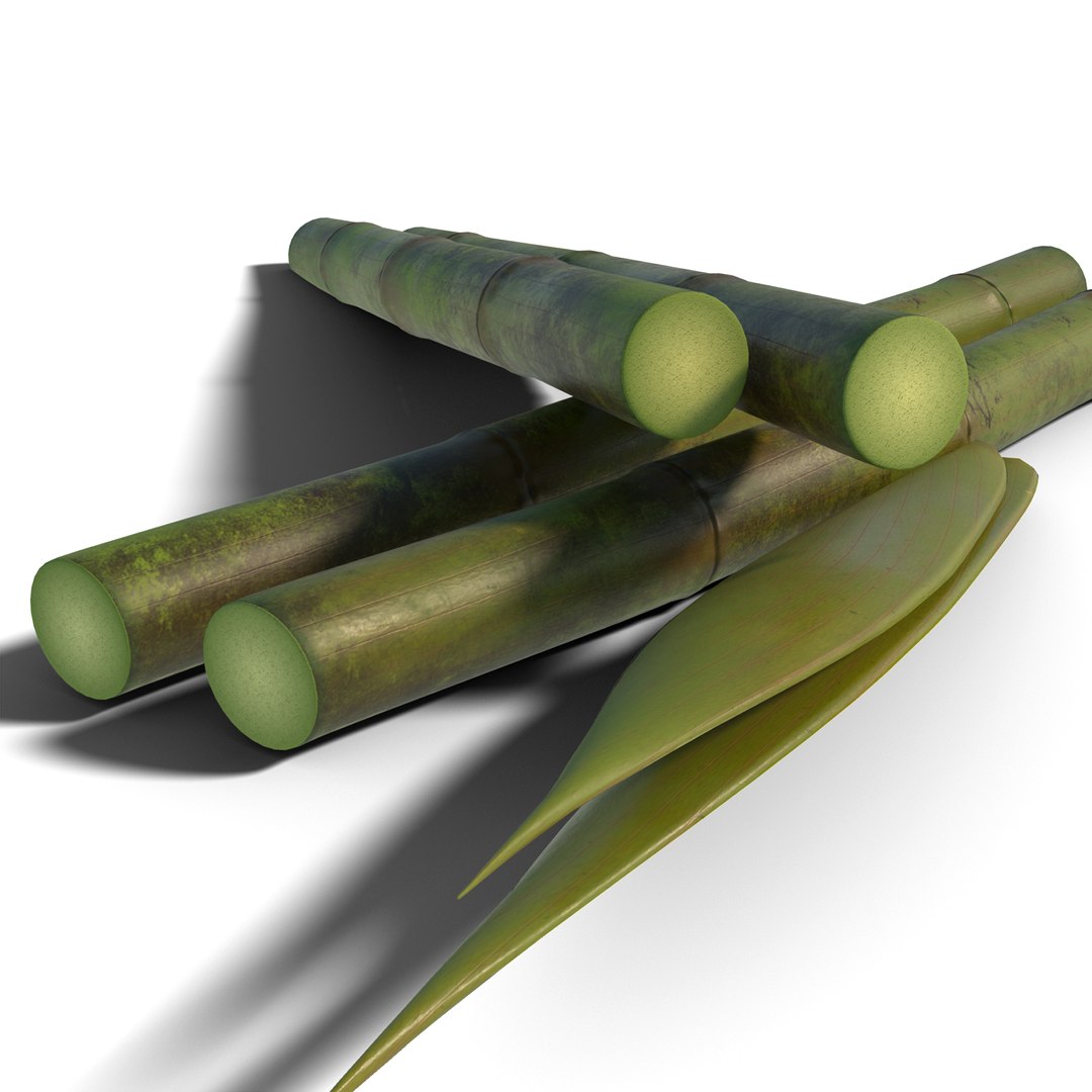 3D Sugarcane Model - TurboSquid 2092441
