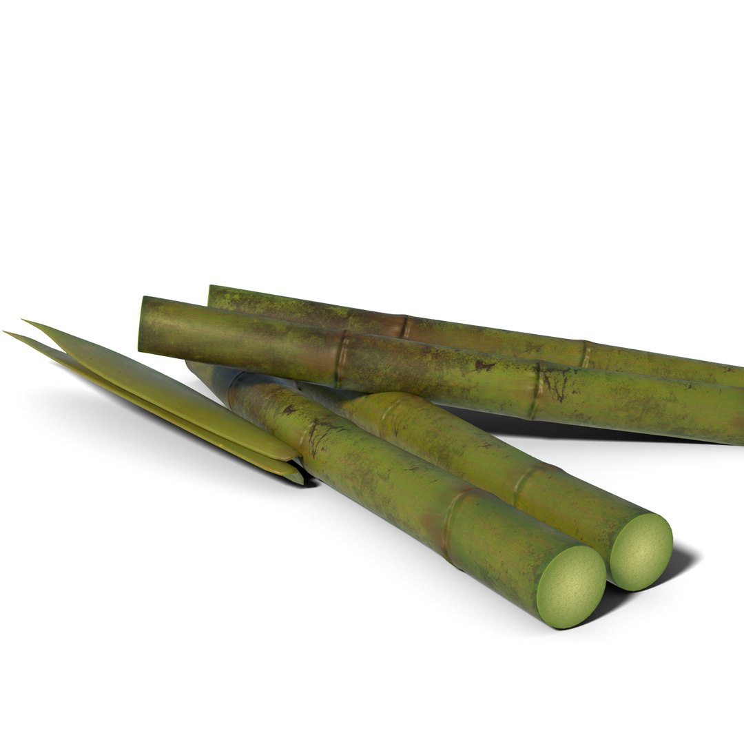 3D Sugarcane Model - TurboSquid 2092441