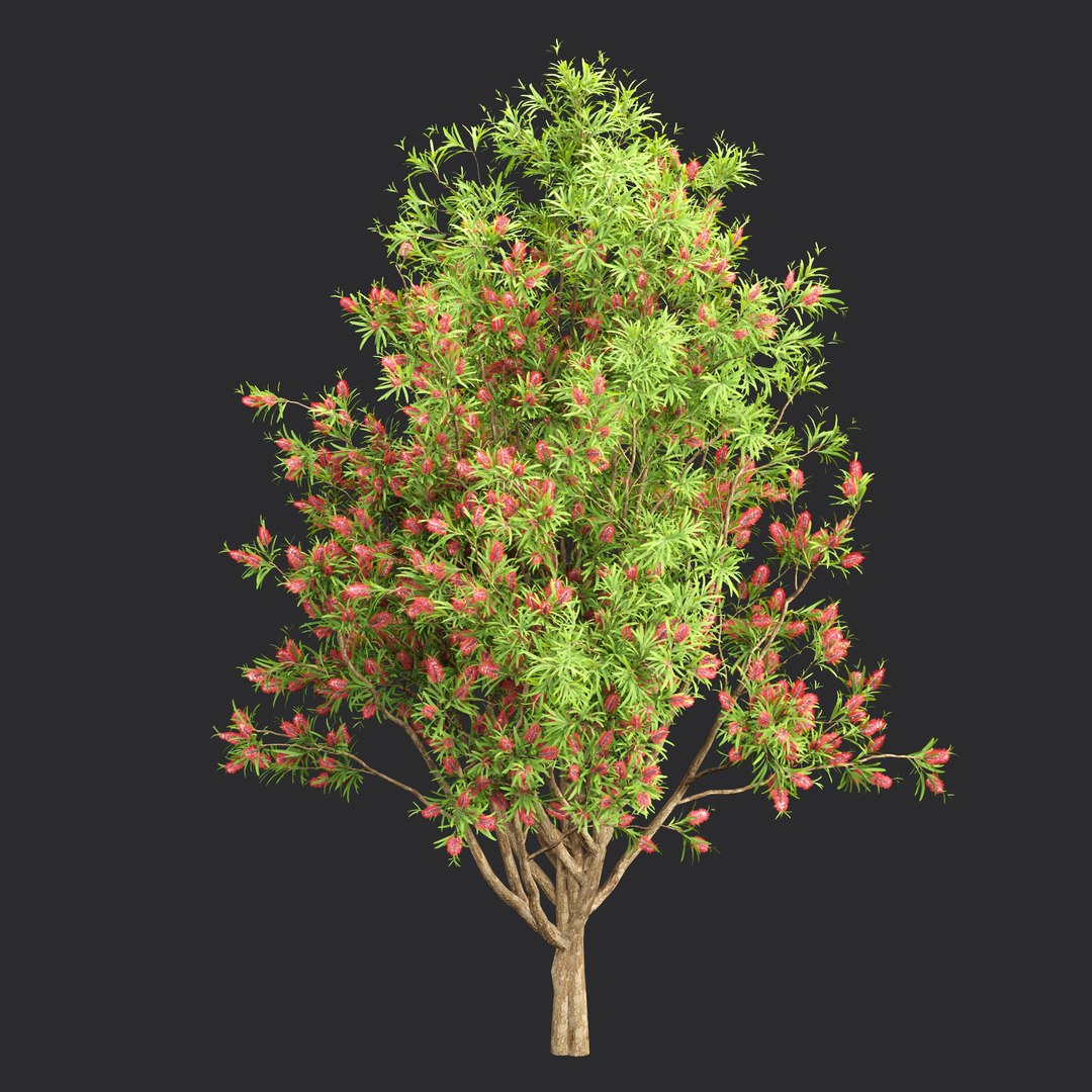 3D Bottlebrush Bush Collection Vol 48-Blender-3dmodel Model ...