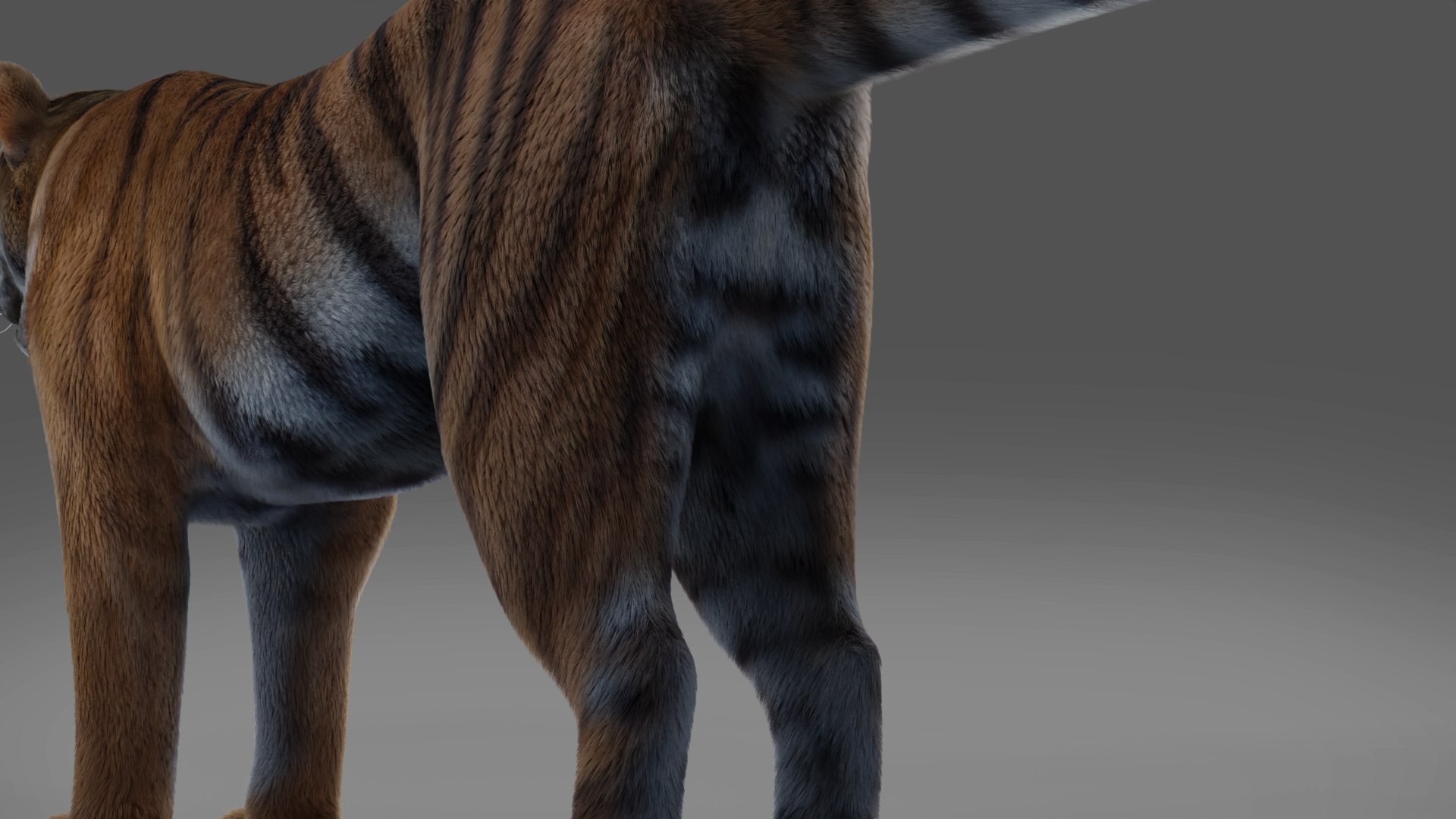 3D Model Fur Tiger Rigged Animation In Blender Unity - TurboSquid 2093929