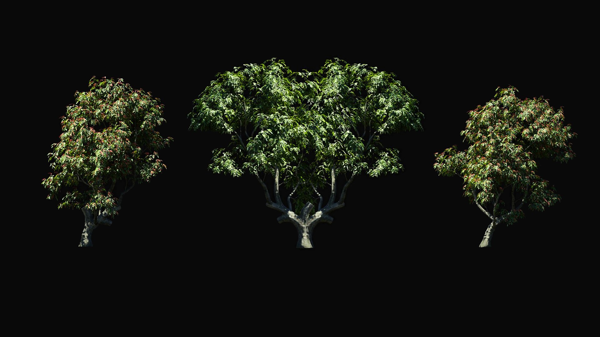 Forest Tree Set Pack BiG 3D Model - TurboSquid 2316444