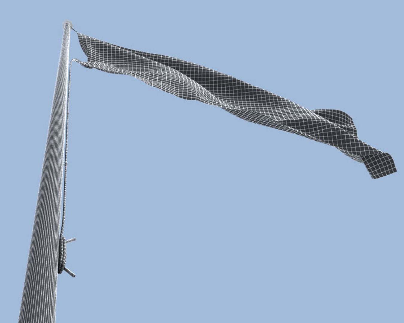 Flag Wind 3d Model
