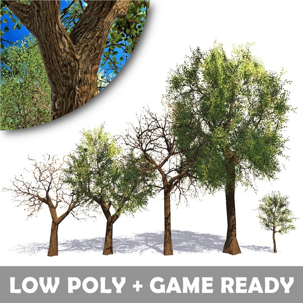Low Poly Game Ready Trees Pack 3D 모델 - TurboSquid 1986702