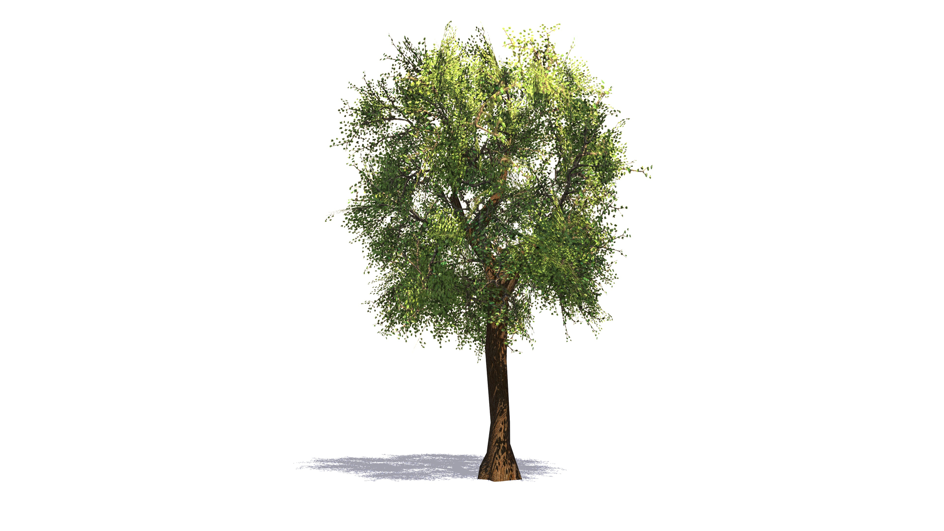 3D Low Poly Game Ready Trees Pack Model - TurboSquid 1986702